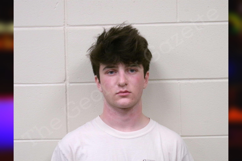 Liam Whitson — Bulloch County Jail Bookings