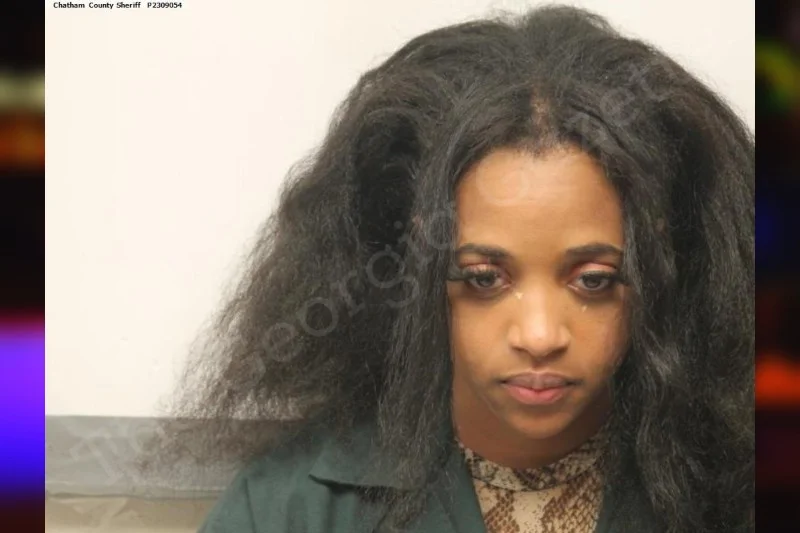 Jamila Williams — Chatham County Jail Bookings