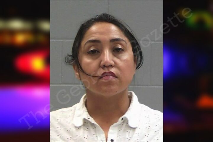 Maria Yanez — Baldwin County Jail Bookings