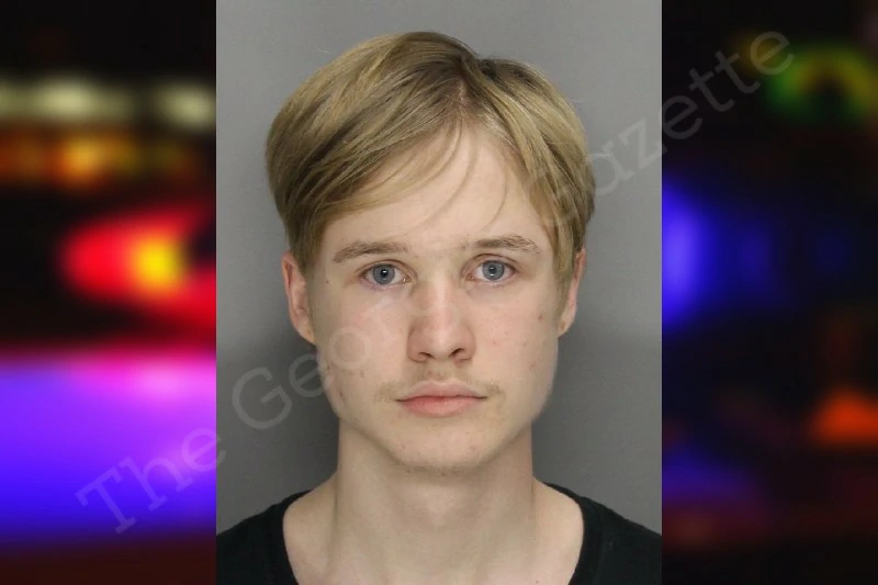 Gavin Alexander — Cobb County Jail Bookings