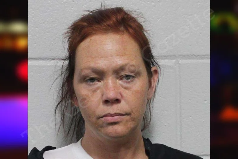 Katie Alldredge — Habersham County Jail Bookings