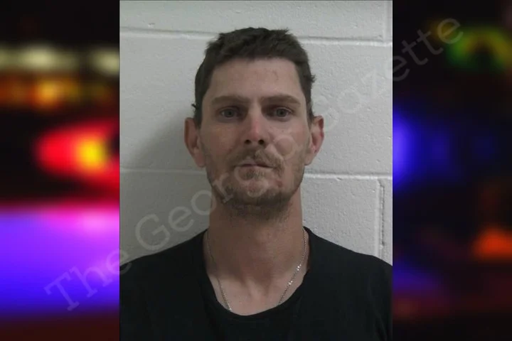 James Alley — Decatur County Jail Bookings