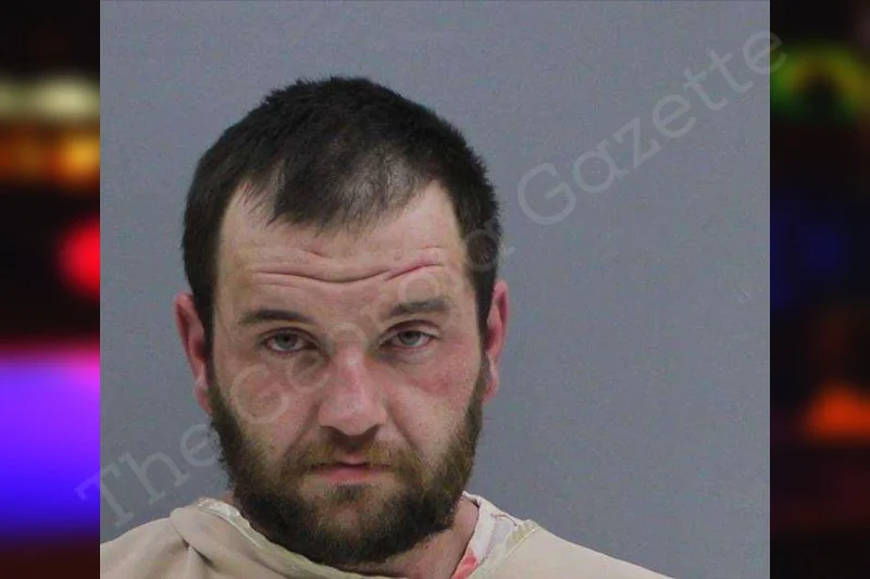 Travis Alley — Rabun County