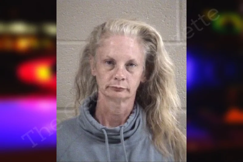 Melissa Adams — Whitfield County Jail Bookings