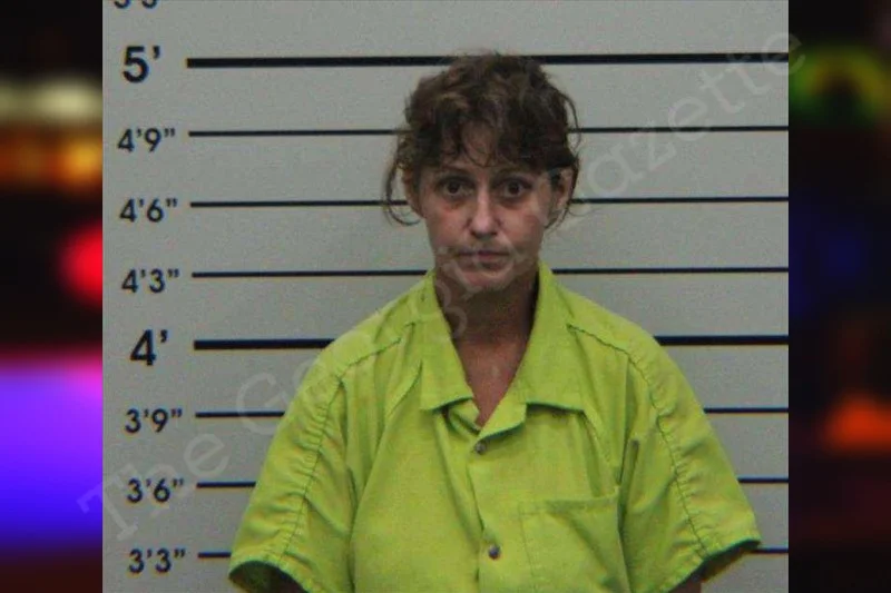Susan Akin — Turner County Jail Bookings