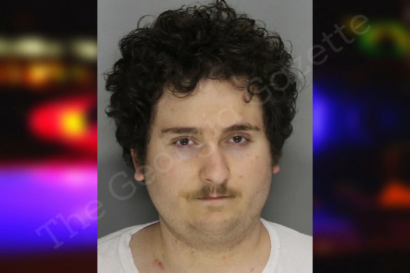 Benjamin Berman — Cobb County Jail Bookings