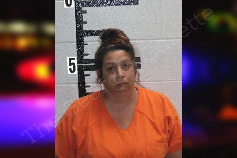Amanda Baine — Murray County Jail Bookings