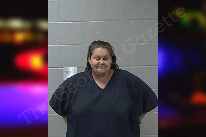 Amanda Bessette — Gilmer County Jail Bookings