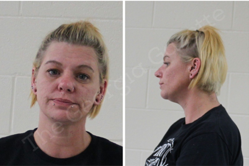 Tabatha Brantley — Houston County Jail Bookings
