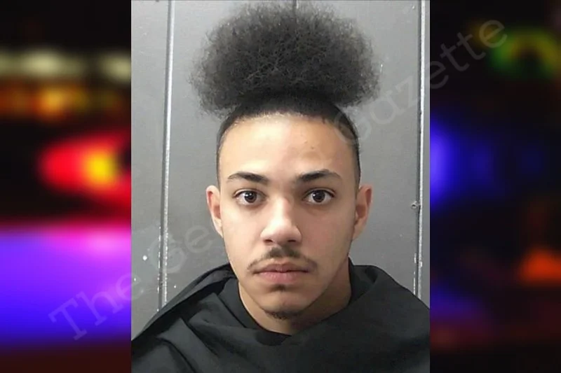 Ashton Brewer — Hart County Jail Bookings