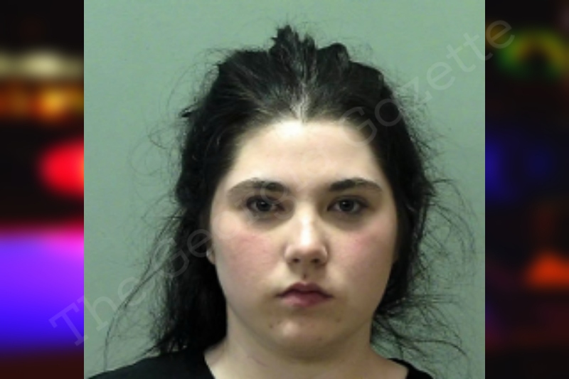 Desaree Britt — Towns County Jail Bookings