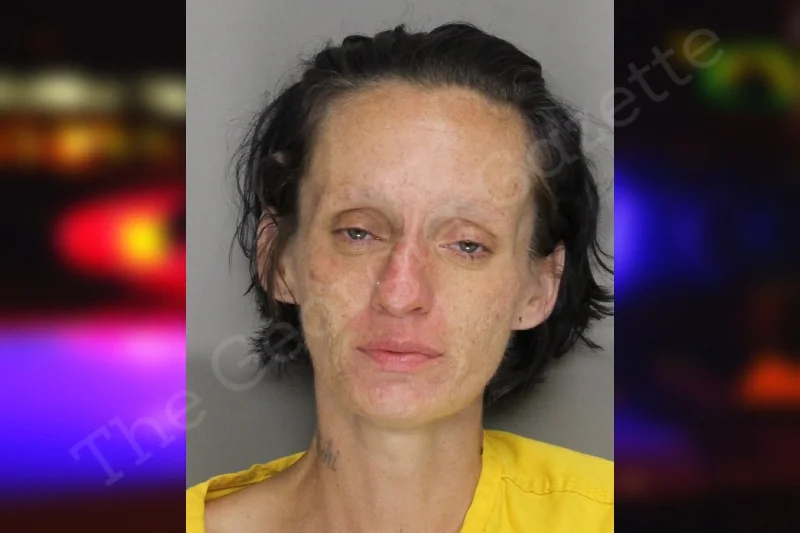 Arlene Cook — Cobb County Jail Bookings