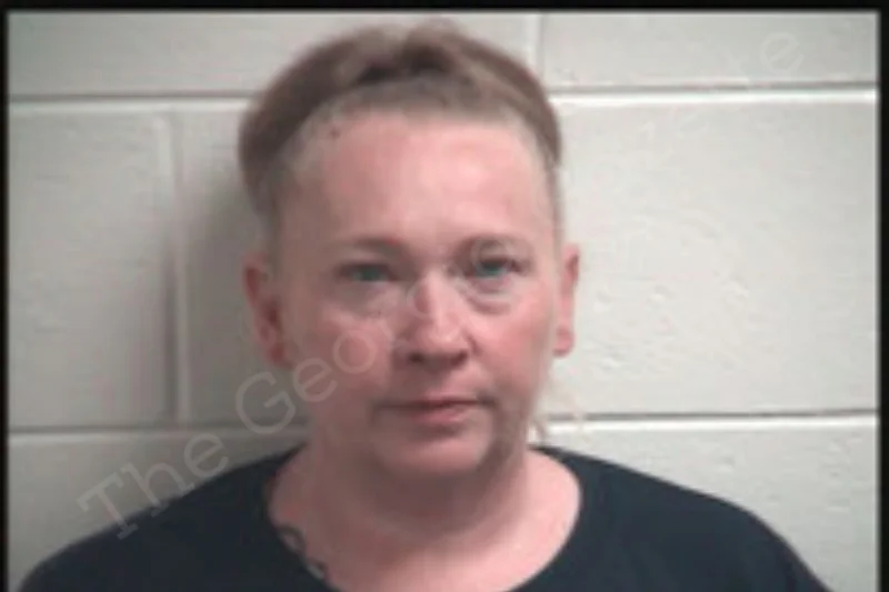 Candace Cook — Henry County Jail Bookings