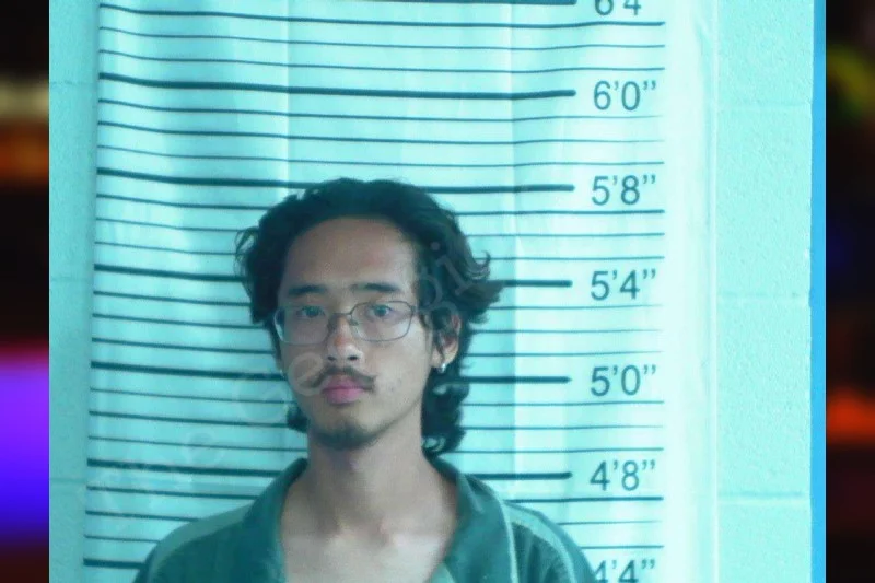 Mason Dang — Stephens County Jail Bookings