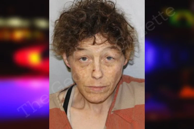 Ashley Davis — Hall County Jail Bookings