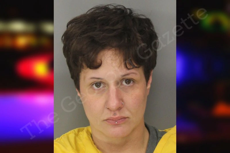 Alicia Doan — Cobb County Jail Bookings