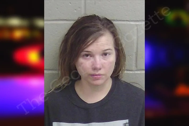 Lisa Davis — Wayne County Jail Bookings