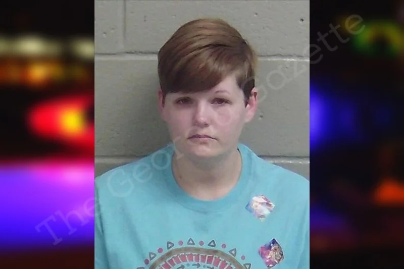 Ariel Dixon — Wayne County Jail Bookings