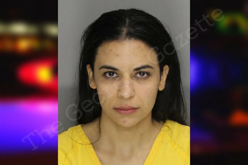 Mona Elminyawi — Cobb County Jail Bookings