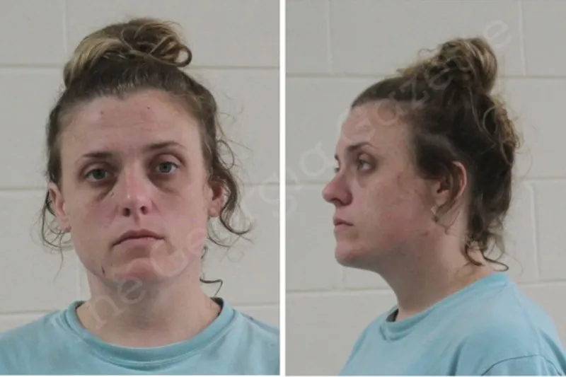 Heather Edmondson — Houston County Jail Bookings