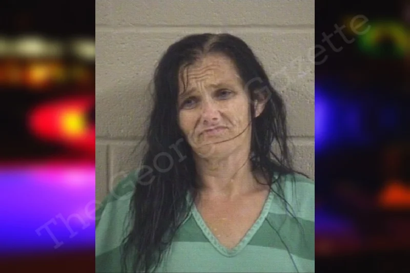 Robbie Ellis — Whitfield County Jail Bookings