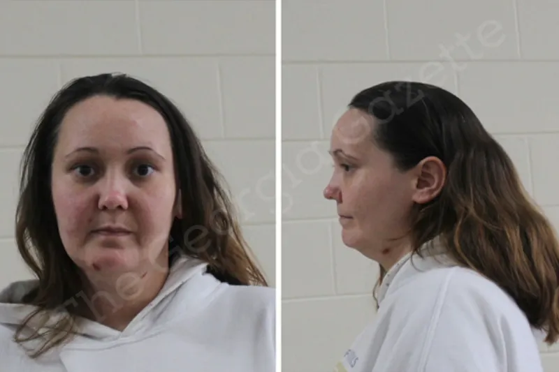 Carrie Foley — Houston County Jail Bookings