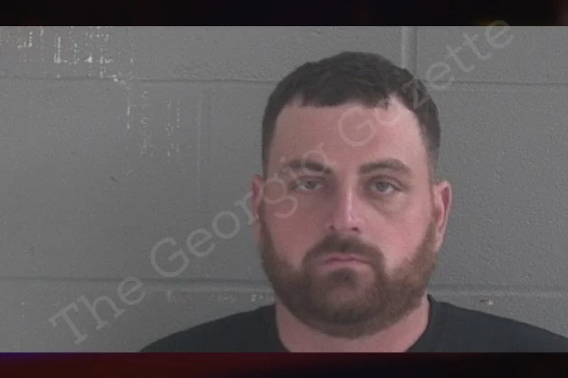Austin Ginn — Brantley County Jail Bookings