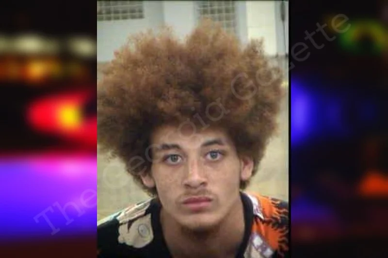 Ian Goodman — Heard County Jail Bookings