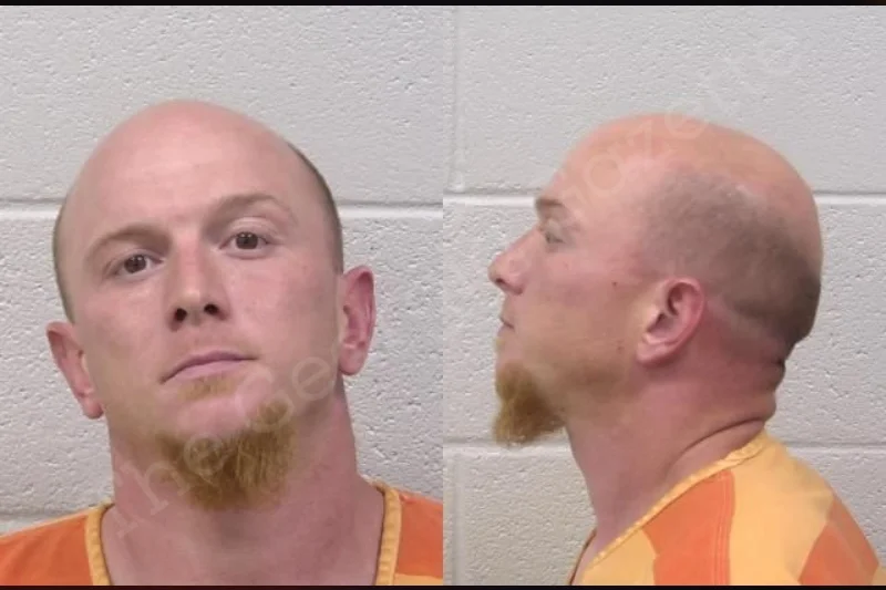 Brett Goodson — Paulding County Jail Bookings