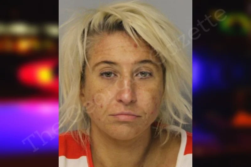 Jessica Hamilton — Hall County Jail Bookings