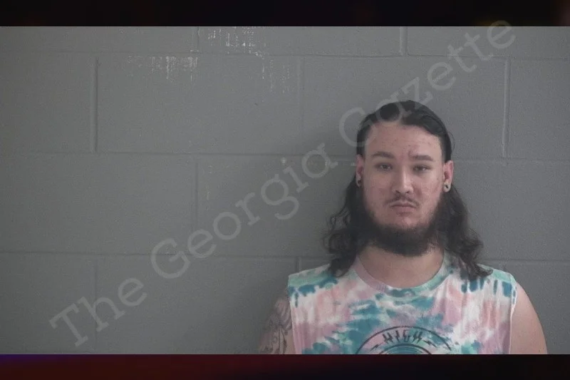 Michael Hiers — Brantley County Jail Bookings