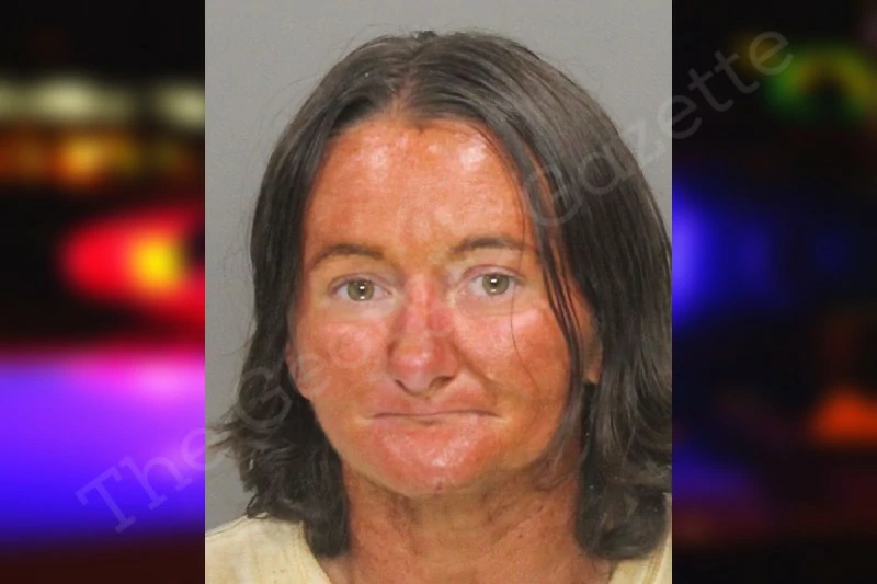 Hayley Hood — Cobb County Jail Bookings