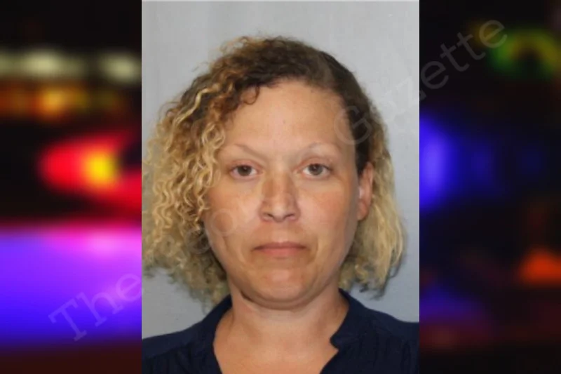 Emily Hudson — Hall County Jail Bookings