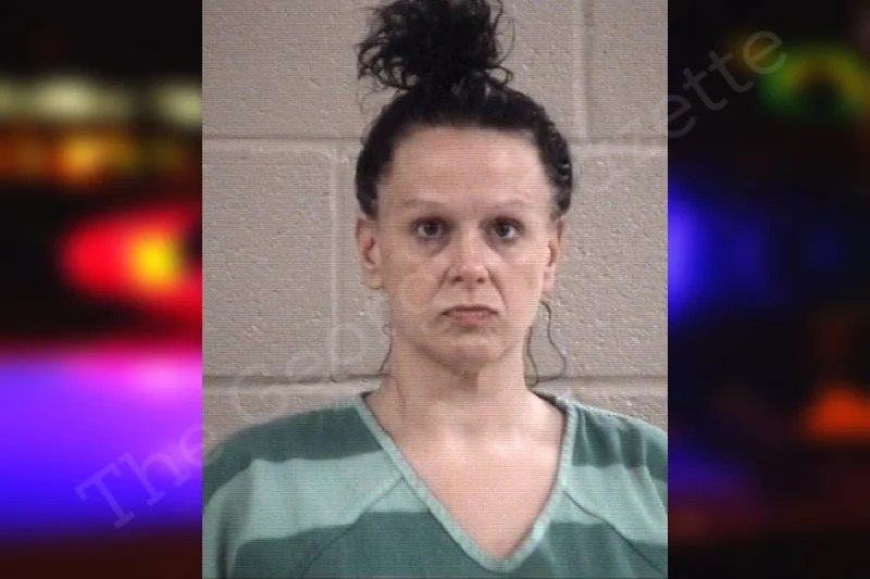 Heather Harlan — Whitfield County Jail Bookings