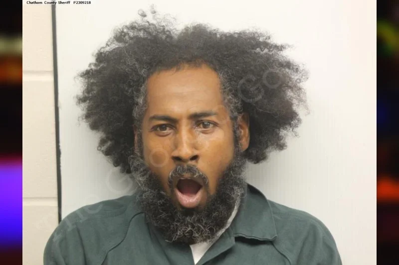 Omar Henry — Chatham County Jail Bookings