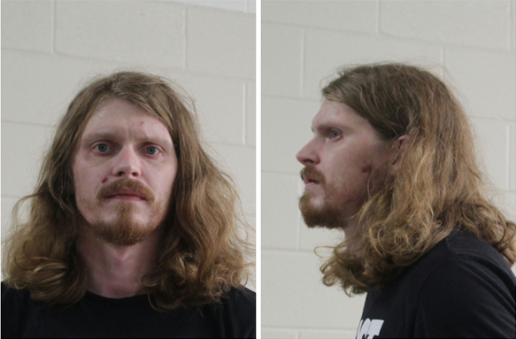 Tyler Holland — Houston County Jail Bookings