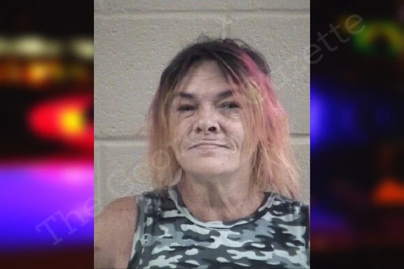 Candance Huggins — Whitfield County Jail Bookings