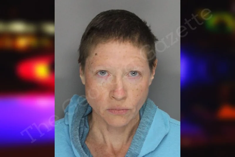 Erin Hull — Cobb County Jail Bookings