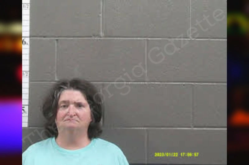 Janet Collins — Banks County Jail Bookings