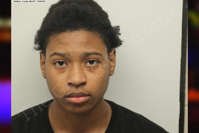 Mario Johnson — Chatham County Jail Bookings