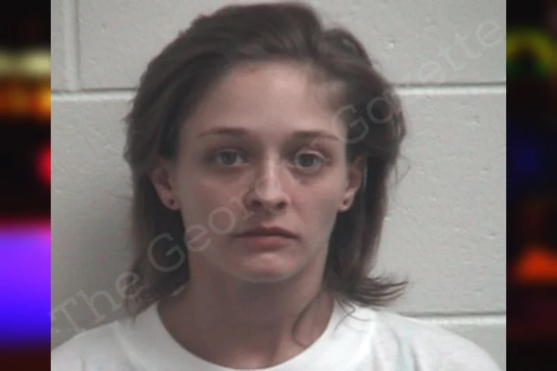 Whitney Knox — Henry County Jail Bookings