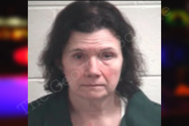 Kristy Knight — Henry County Jail Bookings