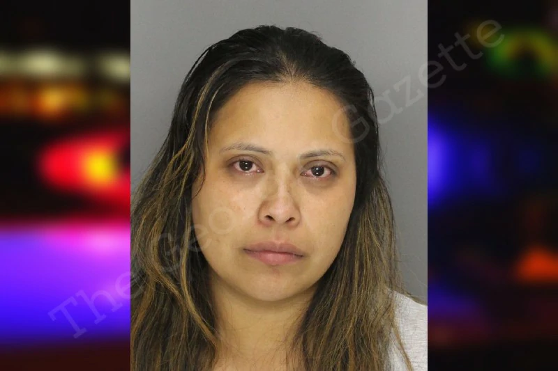 Erica Lopez — Cobb County Jail Bookings