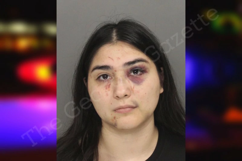 Lorena Luna — Cobb County Jail Bookings