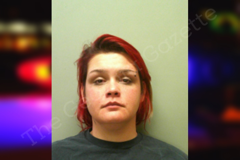 Leisa Ledbetter — Towns County Jail Bookings