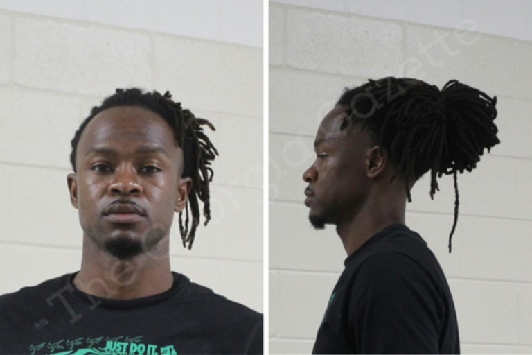 Elbert Lee | Houston County Jail Bookings