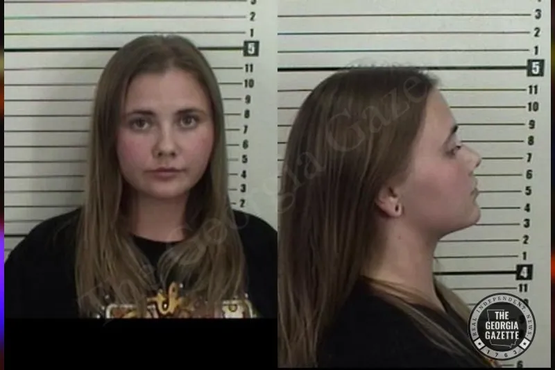 Breanna Lewis — Camden County Jail Bookings