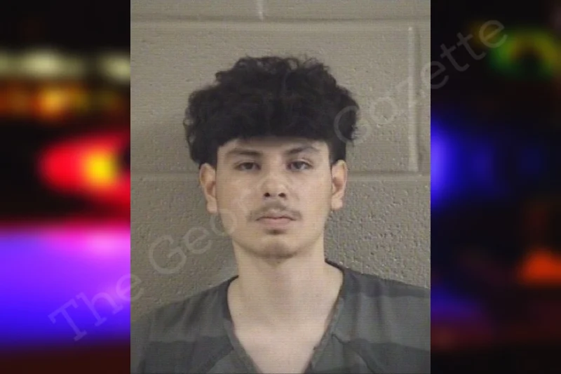 Brian Leyva | Whitfield County Jail Bookings