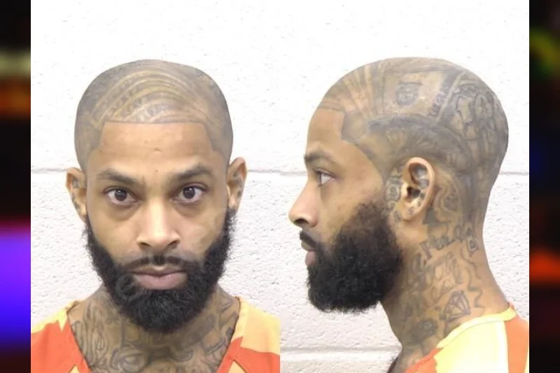 Sean Lovelace — Paulding County Jail Bookings