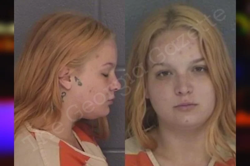 Erin Lyles — Barrow County